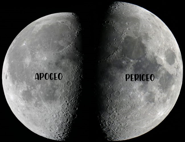 Hoy la Luna alcanza el perigeo, el punto más cercano a la Tierra en su ...